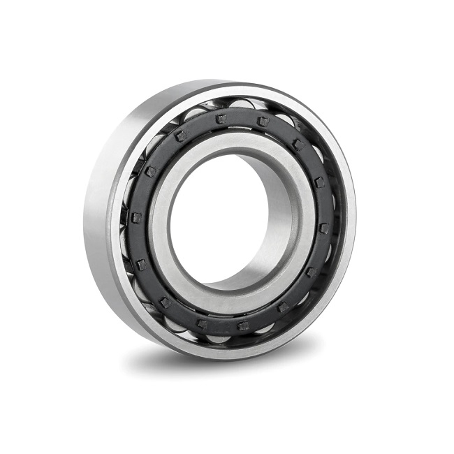 NU309E Budget Cylindrical Roller Bearing 45mm x 100mm x 25mm - Ashley ...