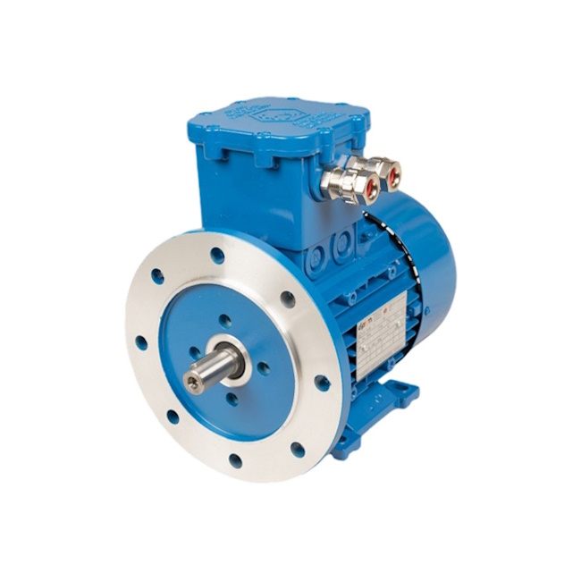 37.023EEXDB3-ELP-IE3 Three Phase TEC Electric Motor, 37kW, 2 Pole, Foot ...