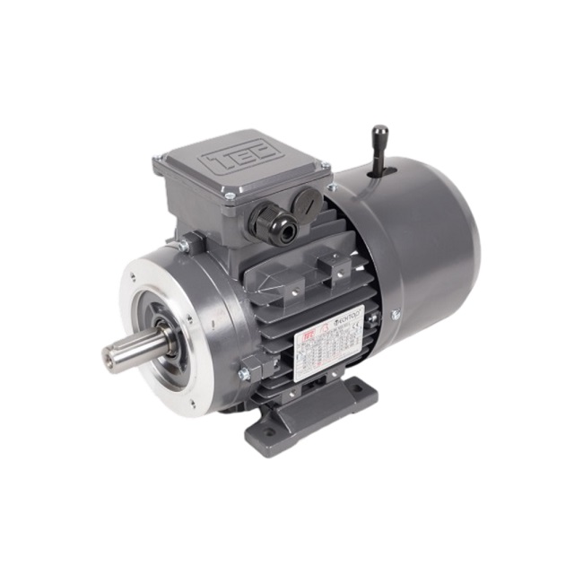 2.223TECAB34-BM-IE3 Three Phase TEC Electric Brake Motor, 2.2kW, 2 Pole ...