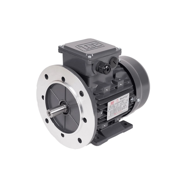 0.3743EXTDB35-IE2 Three Phase TEC Electric Motor, 0.37kW, 4 Pole, Foot ...